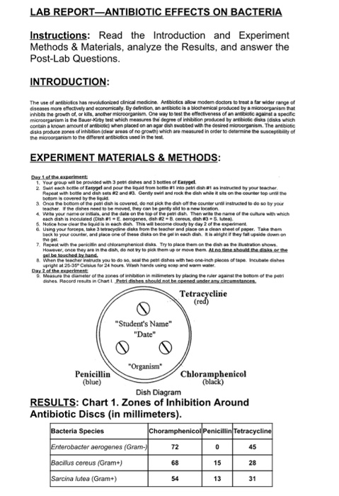 Solved LAB REPORT-ANTIBIOTIC EFFECTS ON BACTERIA | Chegg.com