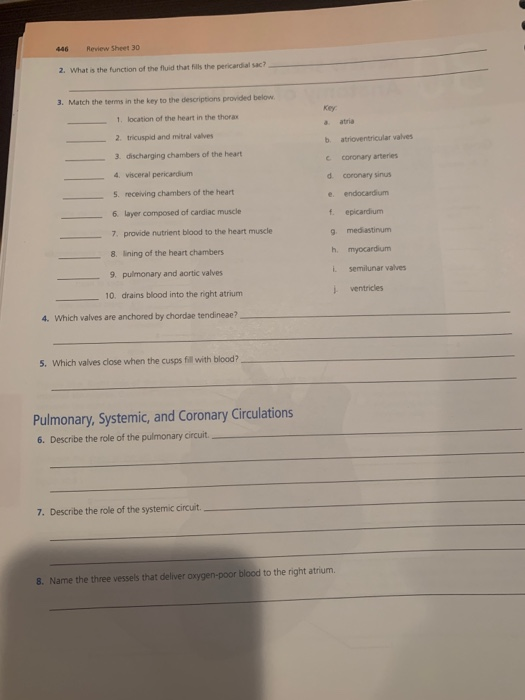 Solved Instructors may assign a portion the Review Sheet | Chegg.com