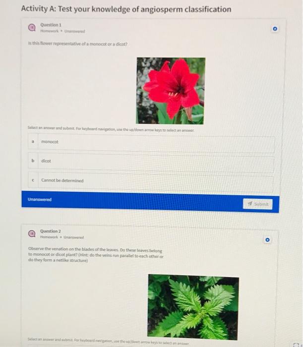 Solved Activity A: Test your knowledge of angiosperm | Chegg.com