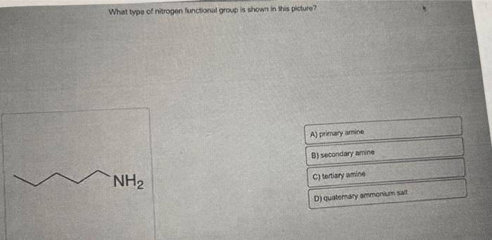 Solved What type of nitrogen functional group is shown in | Chegg.com