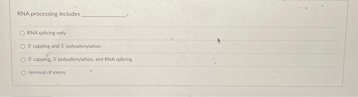 Solved RNA processing includes RNA splicing only 3' capping | Chegg.com