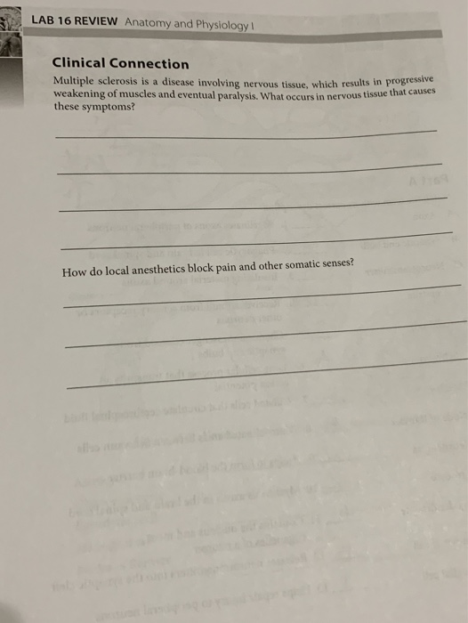 Solved LAB 16 REVIEW Anatomy and Physiology Clinical | Chegg.com