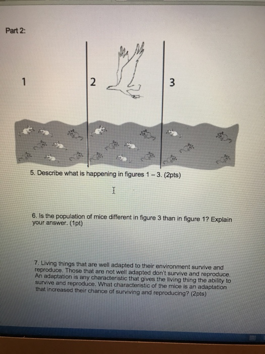 Solved Part 2 5. Describe what is happening in figures 1 - | Chegg.com