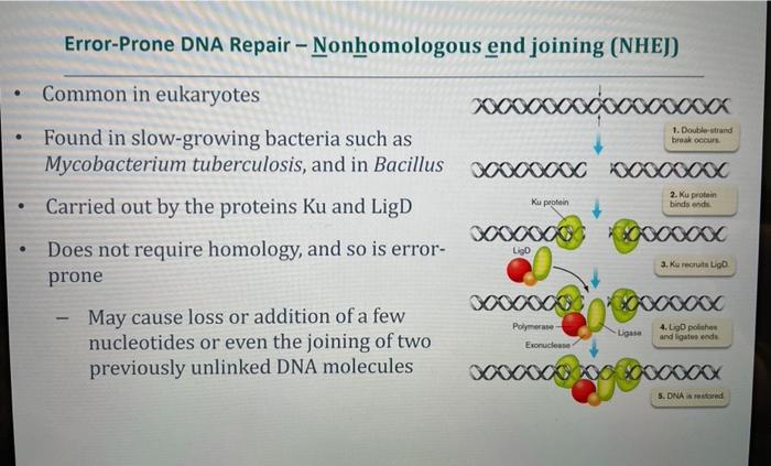 Solved Why would it be important for cells to have both | Chegg.com