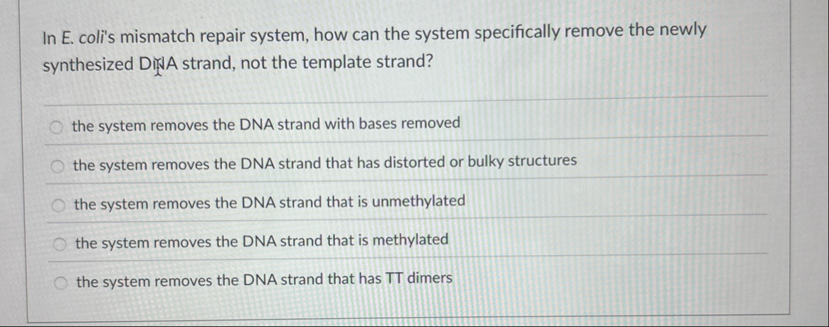 Solved In E. ﻿coli's mismatch repair system, how can the | Chegg.com
