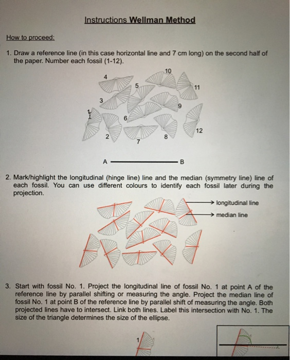 Instructions Wellman Method How to proceed: 1. Draw a | Chegg.com