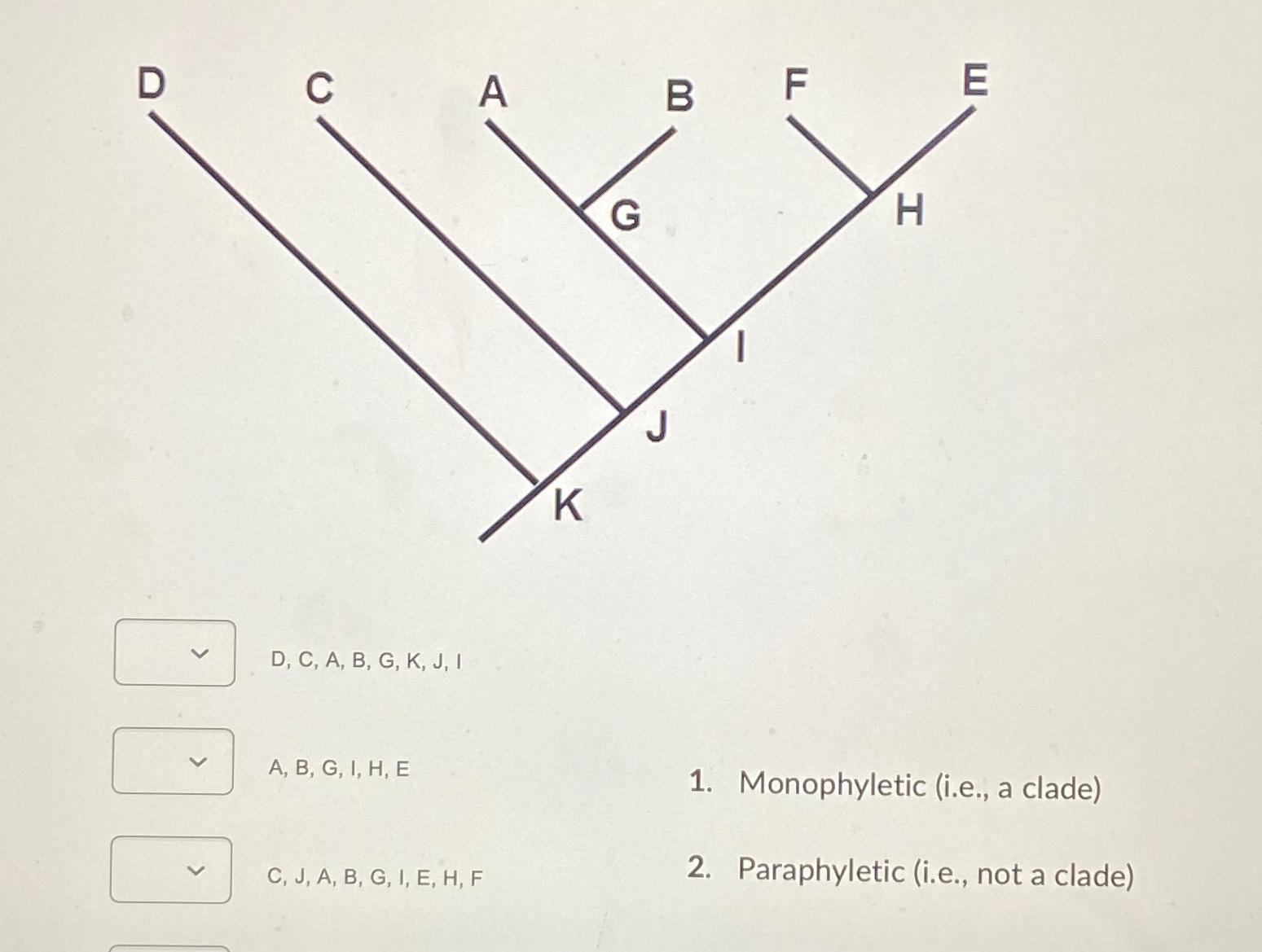 Solved D, ﻿C, ﻿A, ﻿B, ﻿G, ﻿K, ﻿J, ﻿IA, ﻿B, ﻿G, ﻿I, H, | Chegg.com