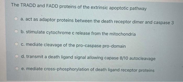 Solved The TRADD and FADD proteins of the extrinsic | Chegg.com