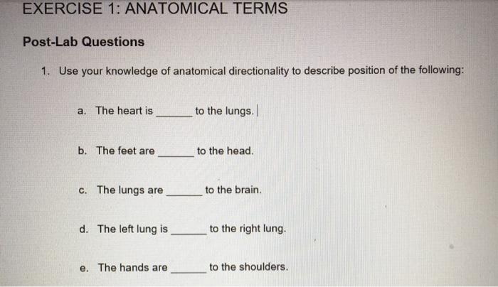 Solved EXERCISE 1: ANATOMICAL TERMS Post-Lab Questions 1. | Chegg.com