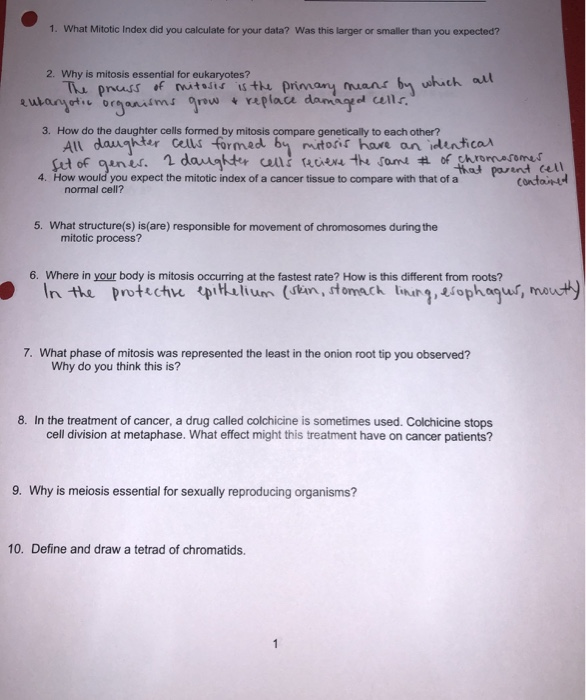 Solved 1. What Mitotic Index did you calculate for your | Chegg.com