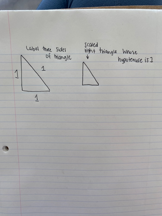 Solved label three sides scaled right of triangle triangle | Chegg.com
