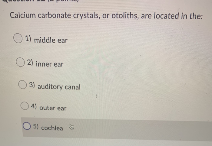 Solved Calcium carbonate crystals, or otoliths, are located | Chegg.com