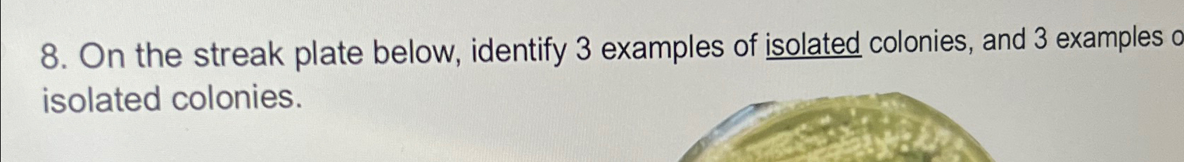 Solved On the streak plate below, identify 3 ﻿examples of | Chegg.com