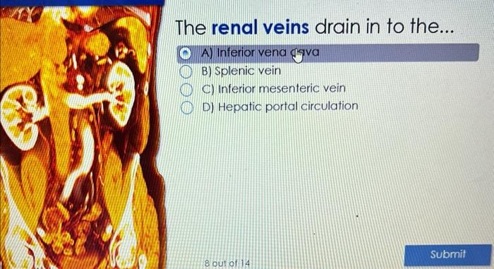 Solved The renal veins drain in to the... A) Inferior vena | Chegg.com