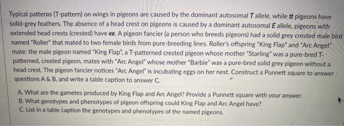 Solved Typical patterns (T-pattern) on wings in pigeons are | Chegg.com