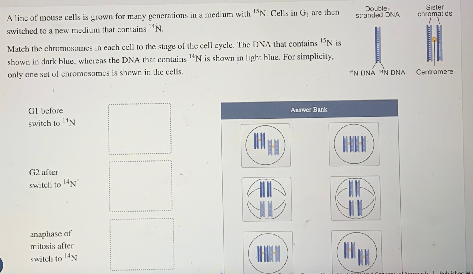 Solved A line of mouse cells is grown for many generations | Chegg.com