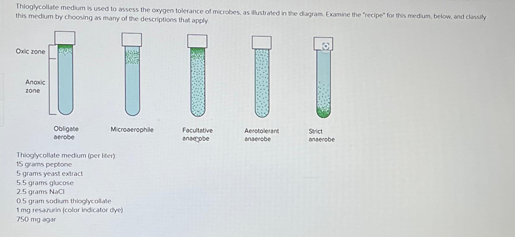 Solved Thioglycollate medium is used to assess the oxygen | Chegg.com