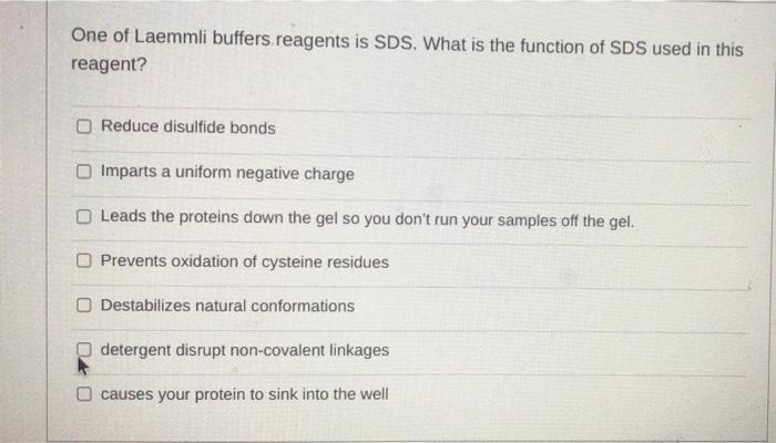 Solved One of Laemmli buffers reagents is SDS. What is the | Chegg.com