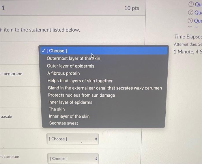 Solved Match each item to the statement listed below. | Chegg.com