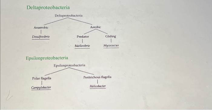 Solved please i want this in such format. i will send | Chegg.com