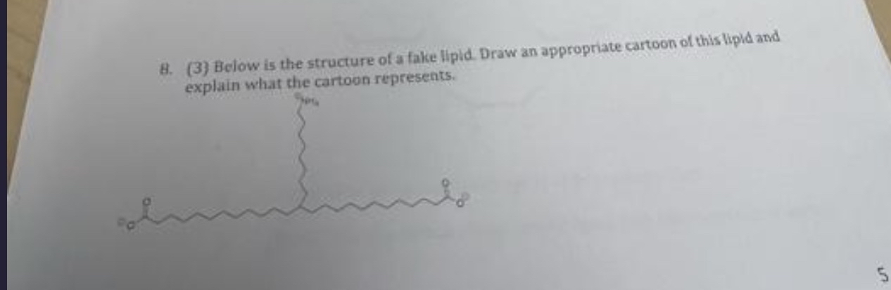 Solved by an EXPERT B. (3) ﻿Below is the structure of a fake lipid ...