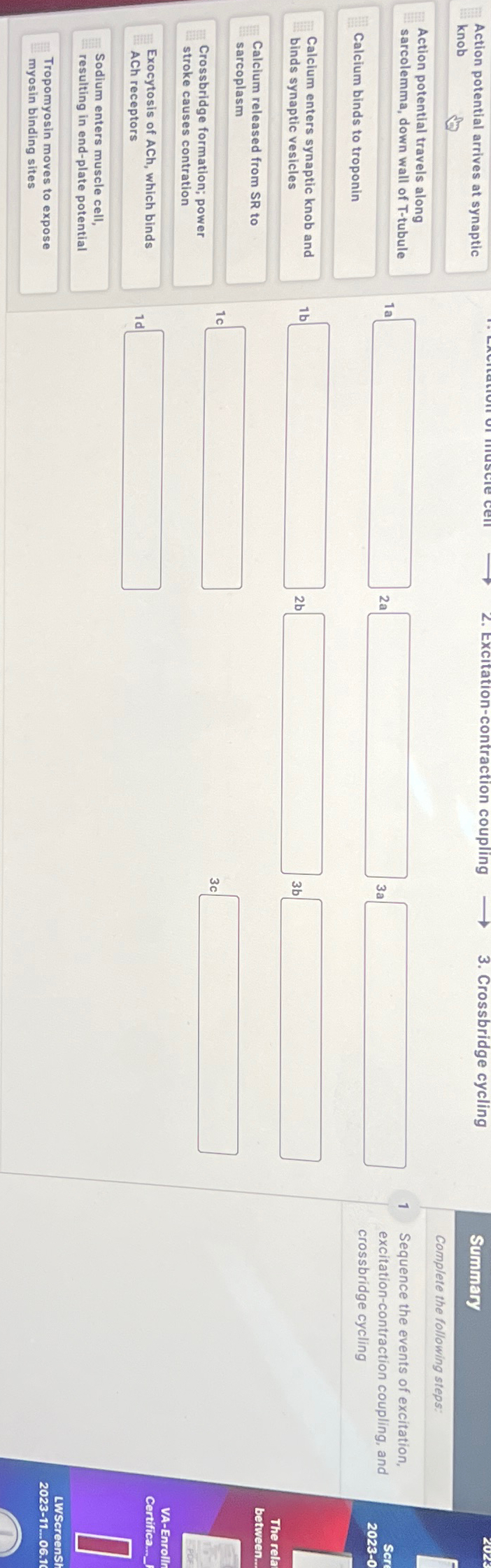 Solved Action potential arrives at synaptic knobAction | Chegg.com