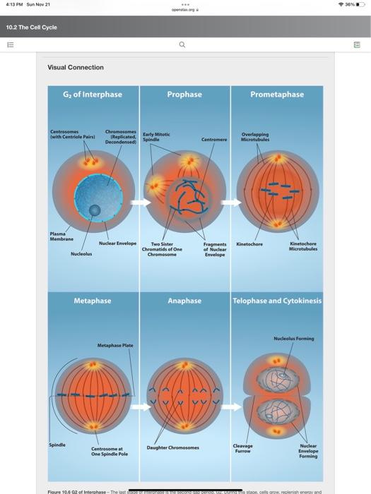Solved Prompt #1. In chapter 10 section 10.2, subsection | Chegg.com