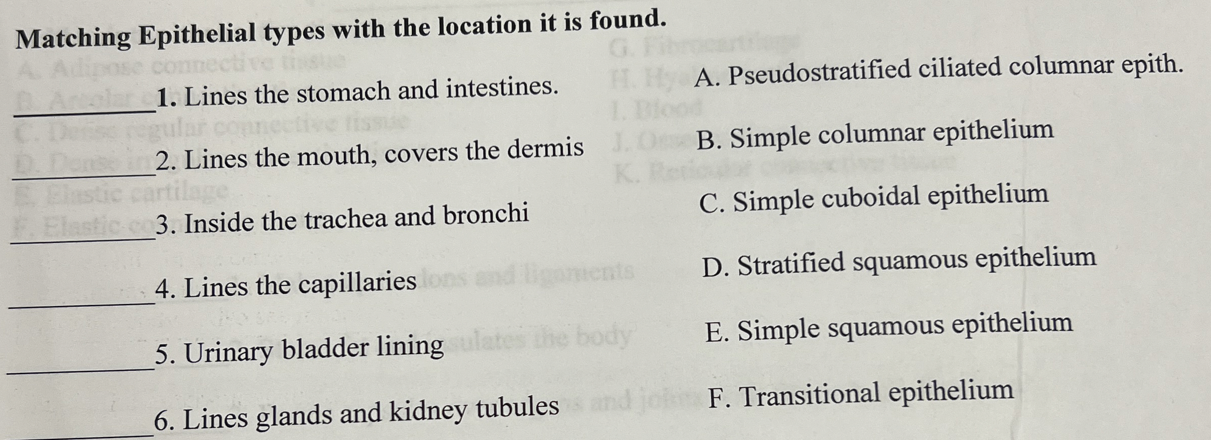 Solved Matching Epithelial types with the location it is | Chegg.com