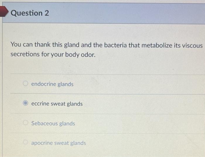 Solved You can thank this gland and the bacteria that | Chegg.com