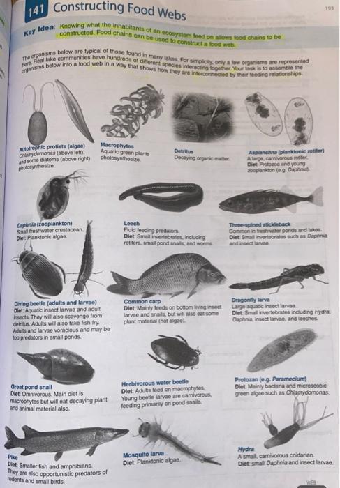 Solved 141 Constructing Food Webs Key Idea: Knowing what the | Chegg.com