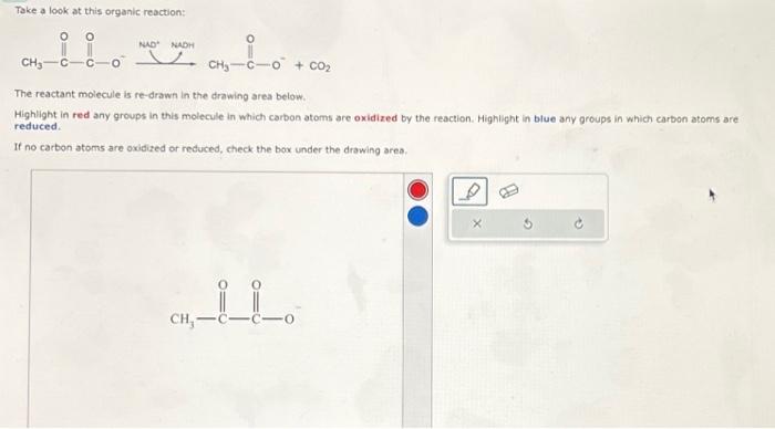 Solved Take a look at this organic reaction: The reactant | Chegg.com