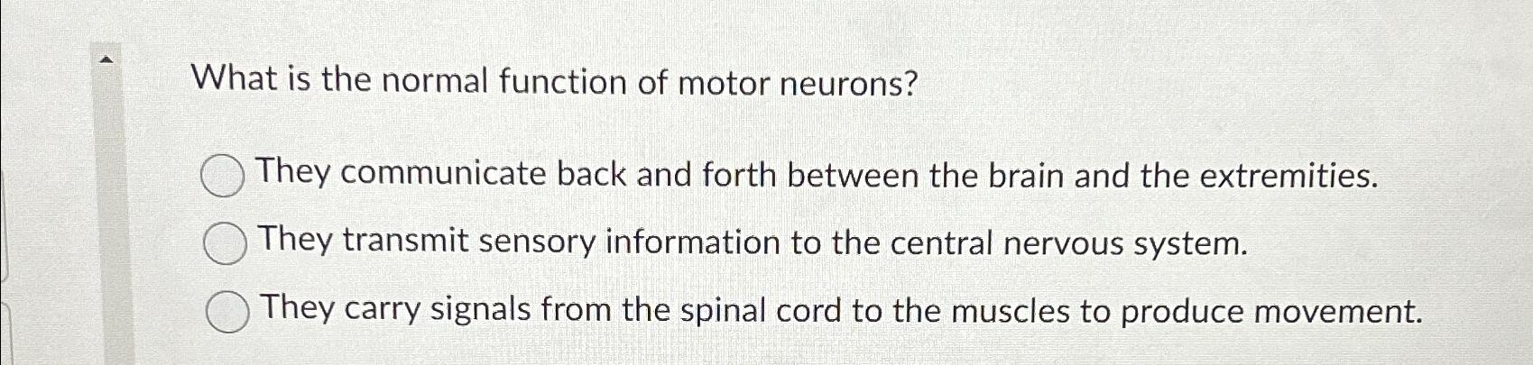 Solved What is the normal function of motor neurons?They | Chegg.com