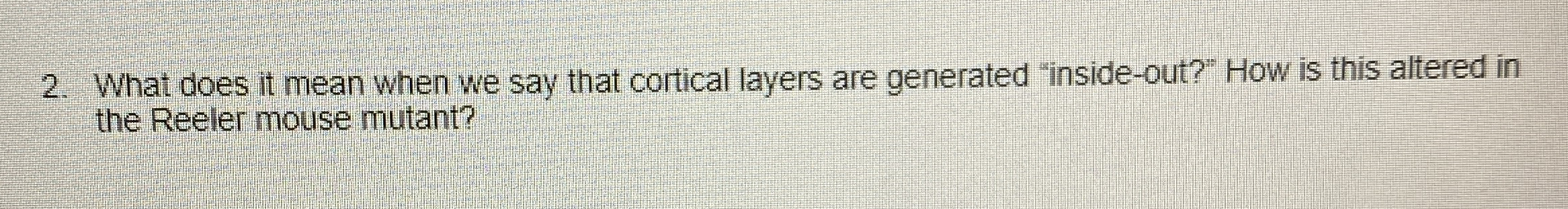 Solved What does it mean when we say that cortical layers | Chegg.com
