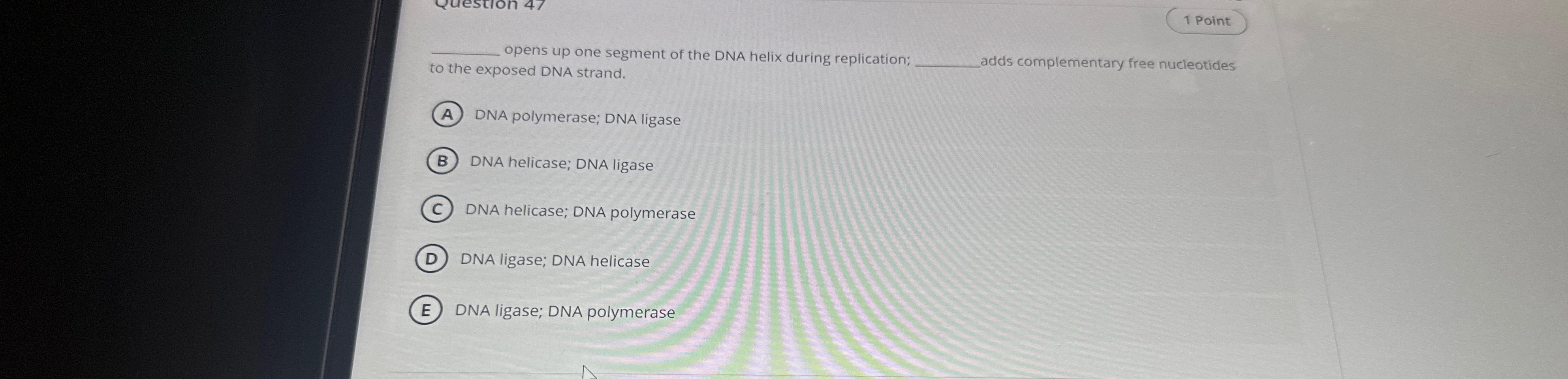 Solved 1 ﻿Pointopens up one segment of the DNA helix during | Chegg.com