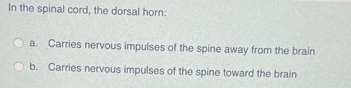 Solved In the spinal cord, the dorsal horn: a. Carries | Chegg.com