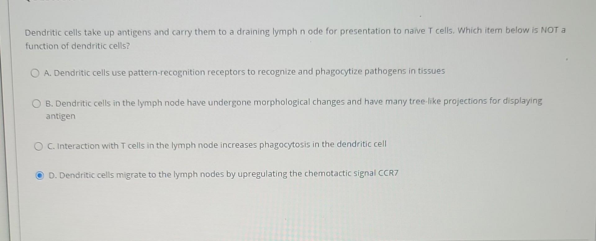 Solved Dendritic cells take up antigens and carry them to a | Chegg.com
