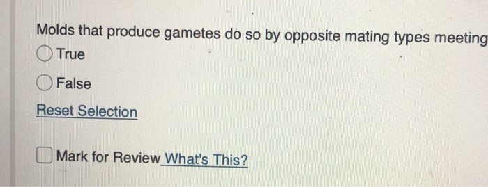 Solved Molds that produce gametes do so by opposite mating | Chegg.com