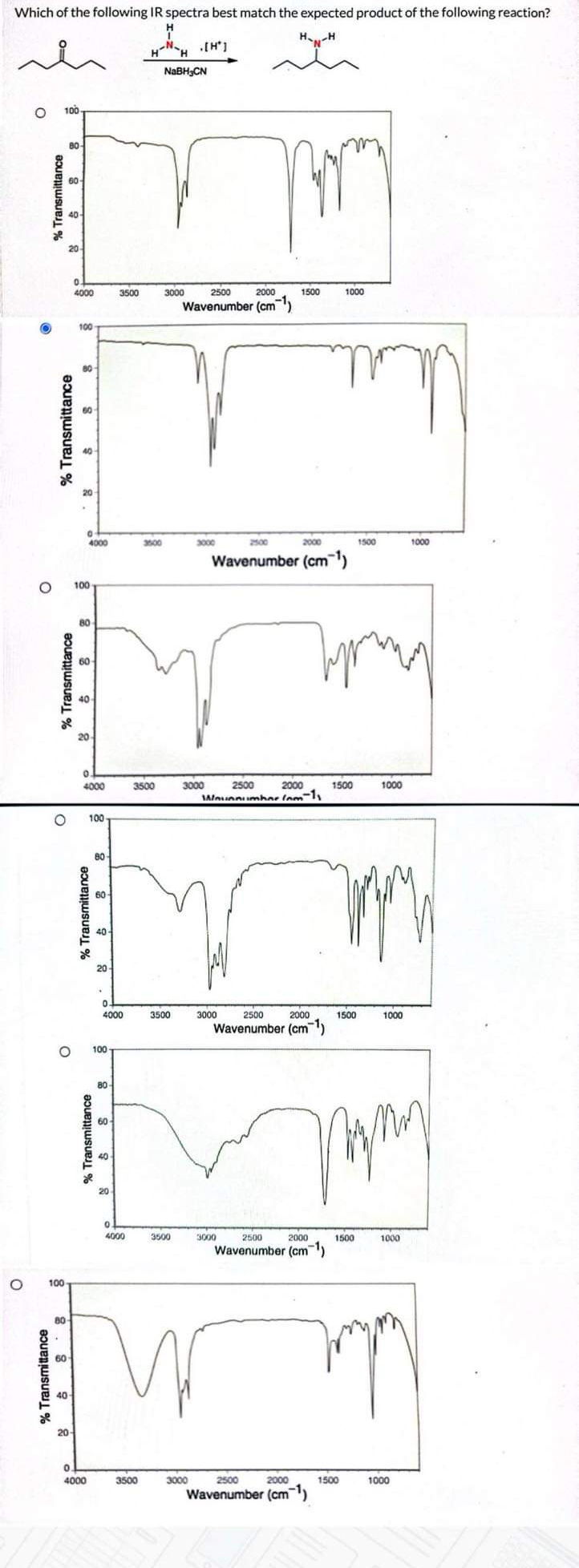 vadenumuer (cmin )(1nn | Chegg.com