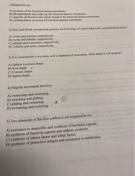 Solved 1)Hopanoids are: A) proteins of the bacterial plasma | Chegg.com