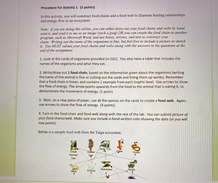 Solved Procedure for Activity 1: (5 points) In this | Chegg.com