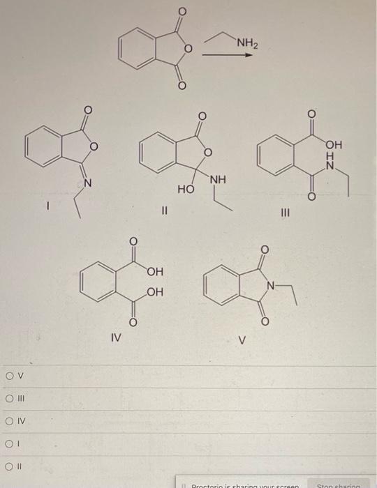 Solved NH2 OH N. N INH HO) | II 애 애 IV V OV O II O IV 01 OI | Chegg.com