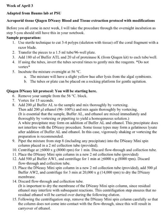 What was the purpose of adding lysis buffer and | Chegg.com