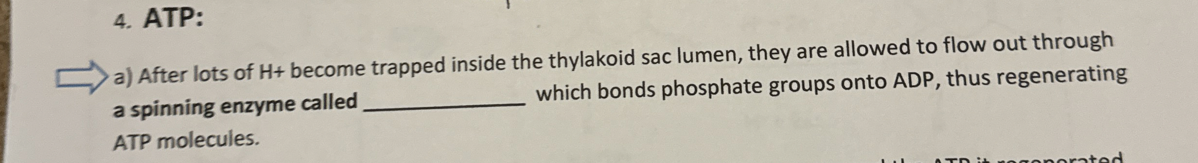 Solved ATP:a) ﻿After lots of H+ ﻿become trapped inside the | Chegg.com