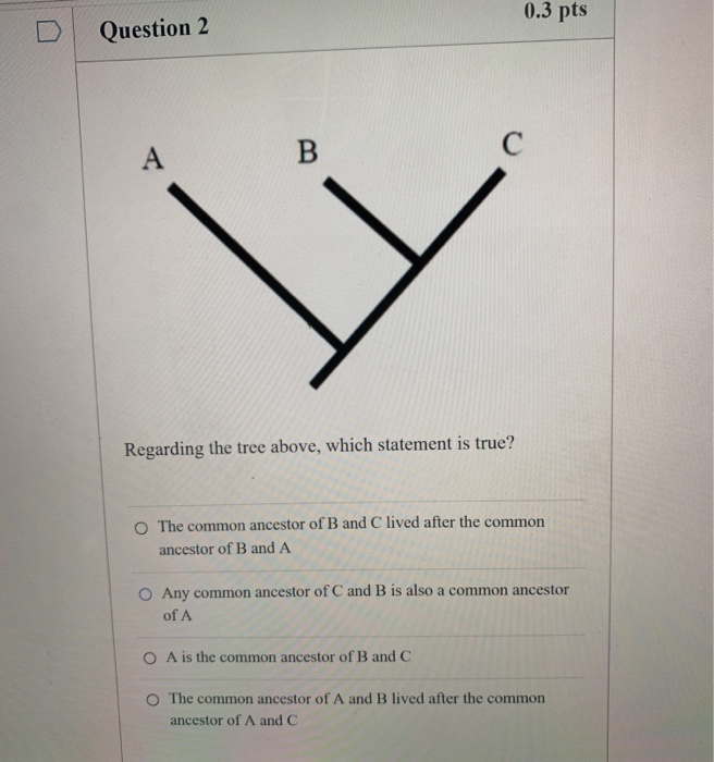 Solved 0.3 pts Question 2 A B С Regarding the tree above, | Chegg.com