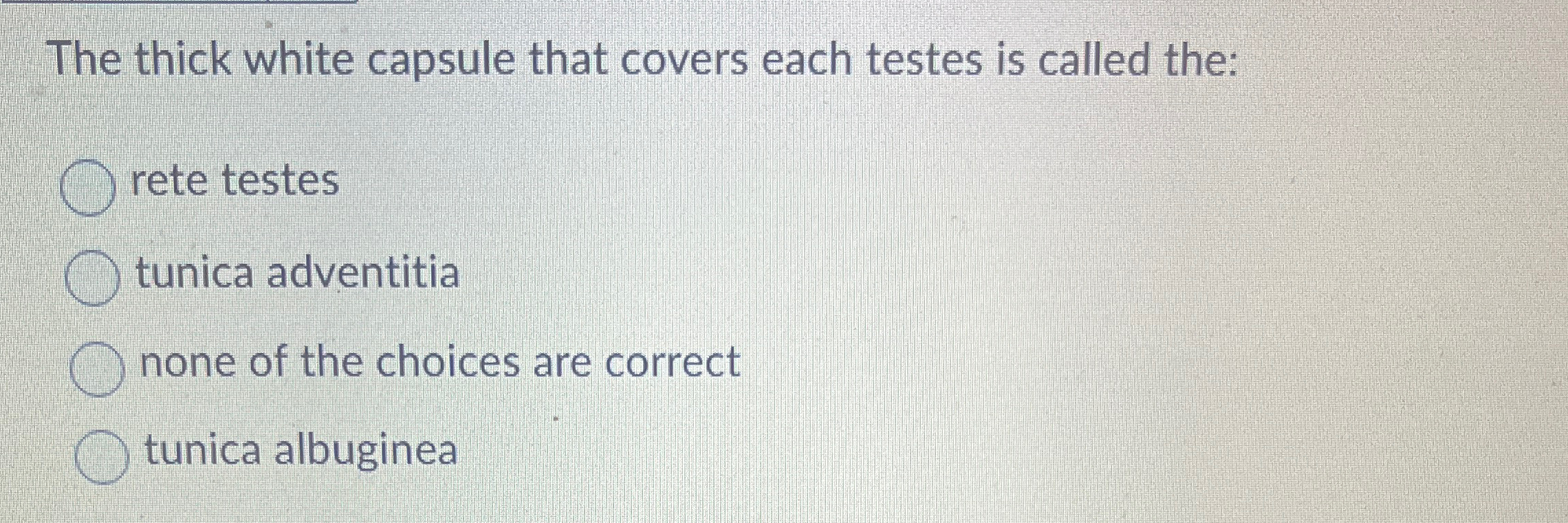 Solved The thick white capsule that covers each testes is | Chegg.com