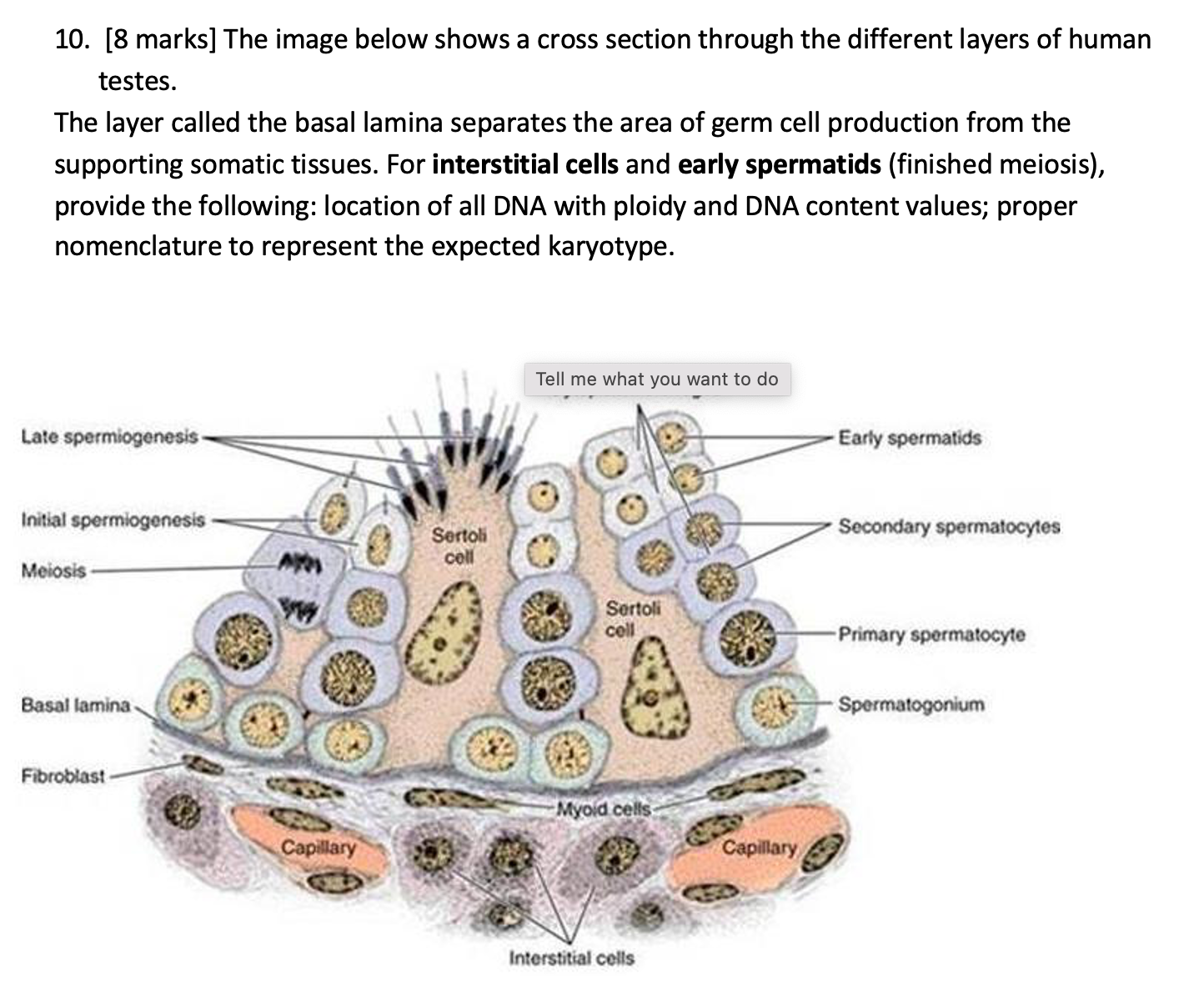 Solved [8 ﻿marks] ﻿The image below shows a cross section | Chegg.com