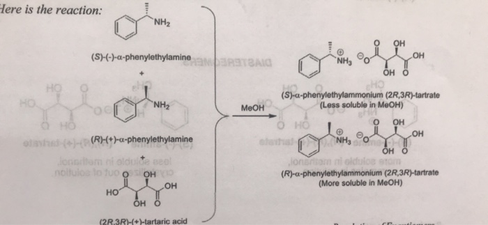 1. In the resolution of racemic 1-phenylethylamine | Chegg.com