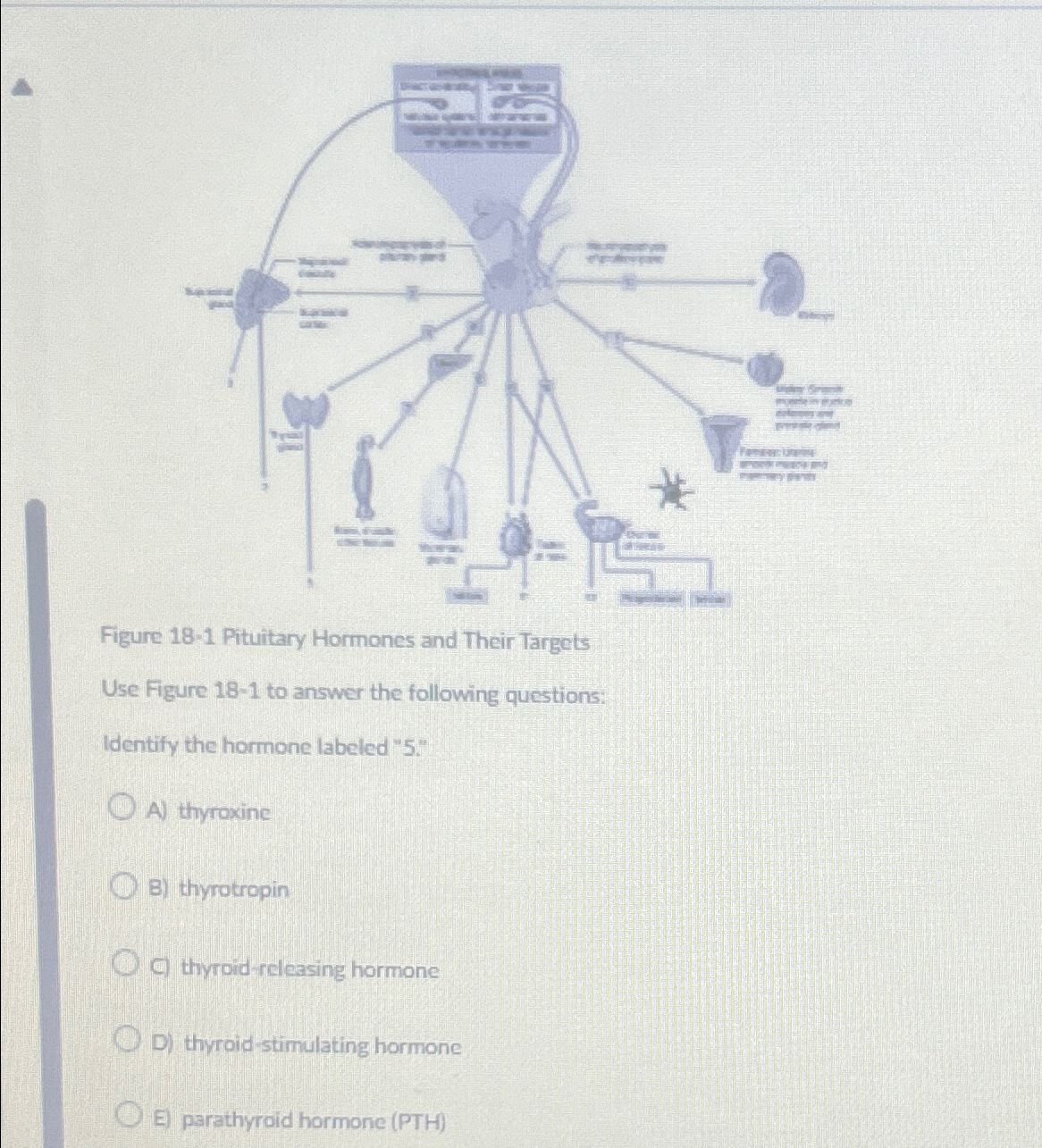 Solved Figure 18-1 ﻿Pituitary Hormones and Their TargetsUee | Chegg.com