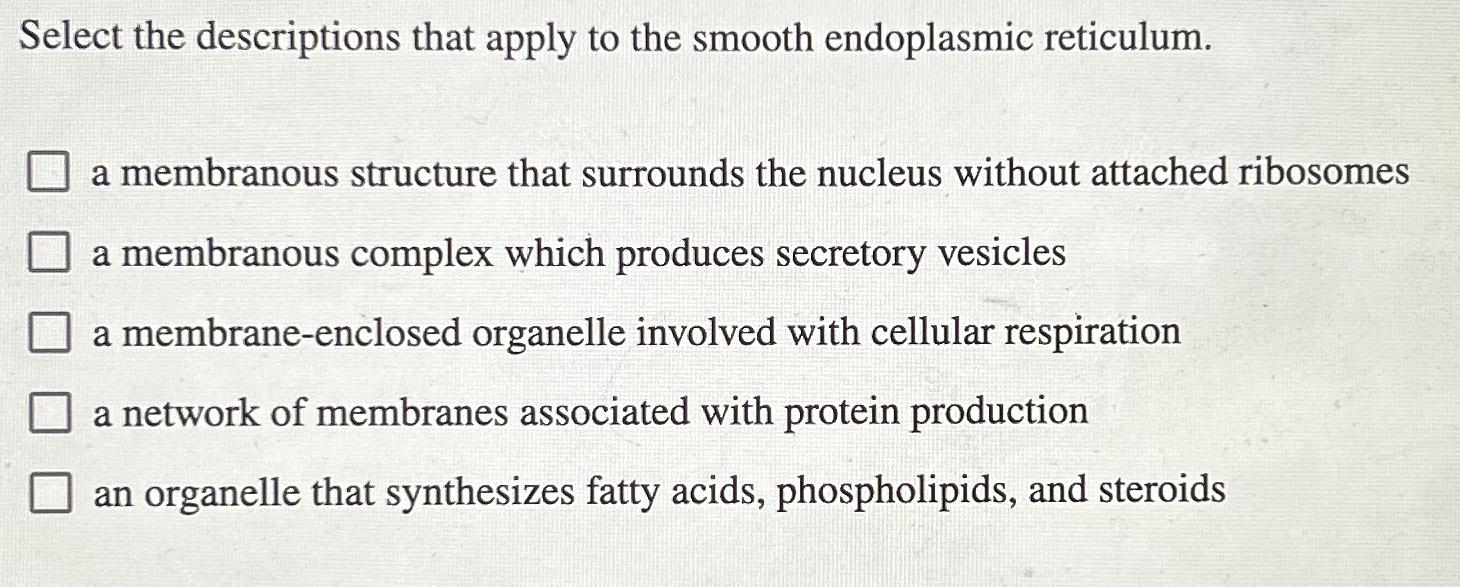 Solved Select the descriptions that apply to the smooth | Chegg.com