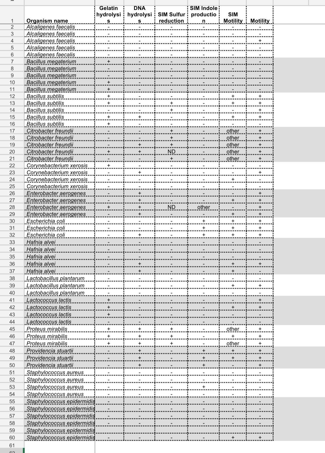 Solved Make a flow chart ( dichotomous key) for the Gram | Chegg.com